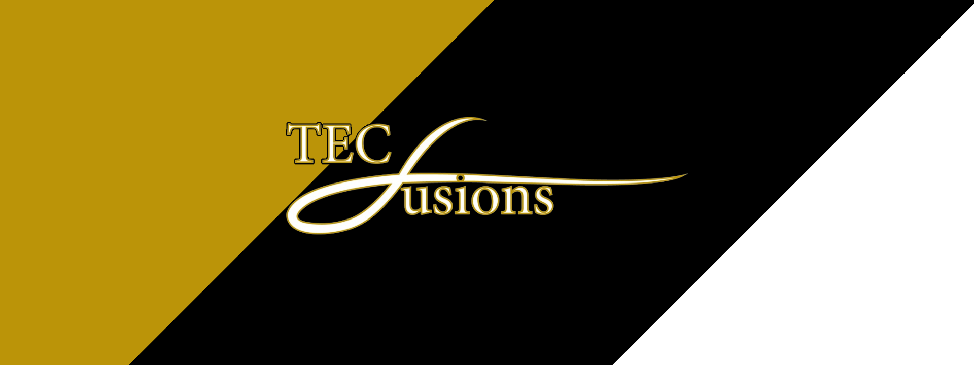 profile banner with TECfusions logo – TECfusions